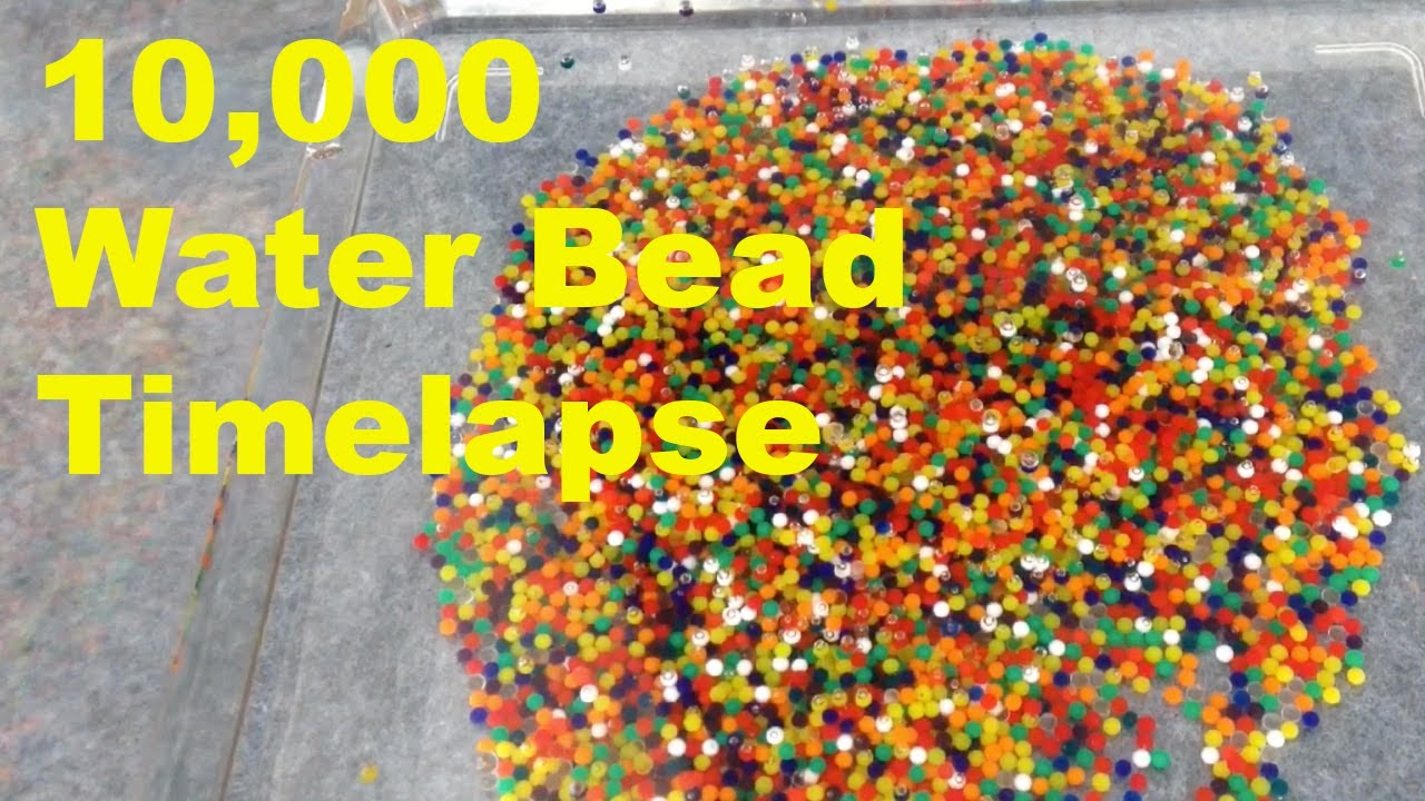 10,000 Water Bead Time—lapse - YouTube