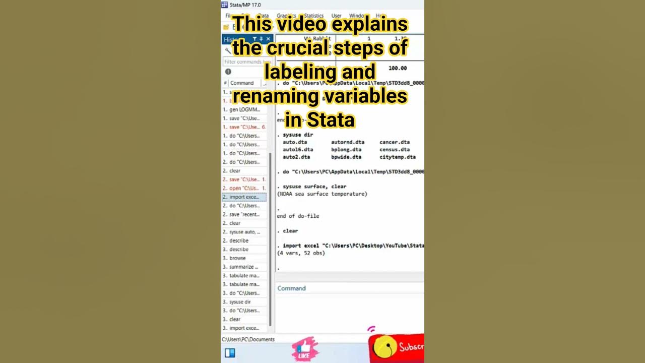 How to Label and Rename Variables in Stata. - YouTube