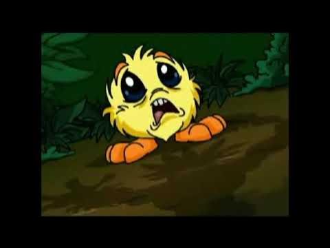 JubJub Mini Show Neopets CD - 2008 - YouTube