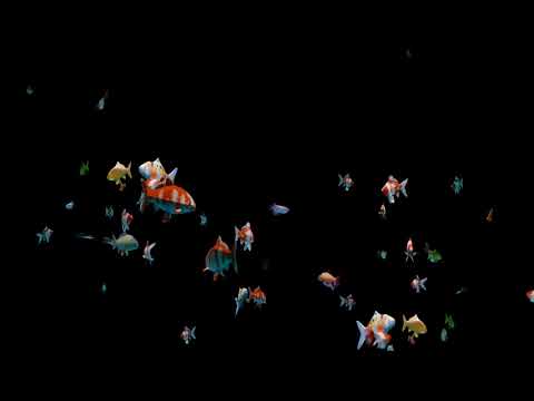 Animated Fish Swimming on Black Background