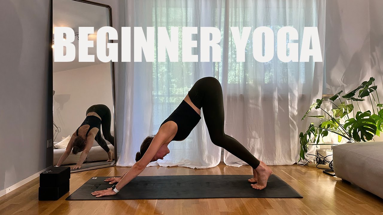 Yoga Flow for Beginners 25 minutes Basic Full Body to Build Flexibility ...