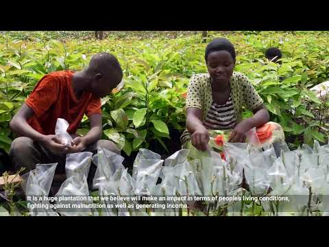 What Is Terrace Farming Give Example