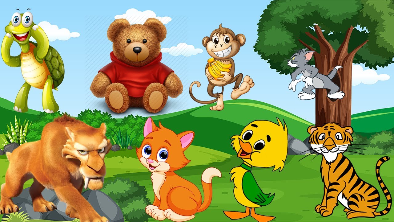 Animal Videos Funny | Animal Fight Videos | Wild Animals | Pet Animals ...