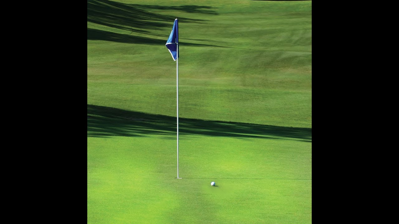 Amazing Hole In One Golf Shot - YouTube