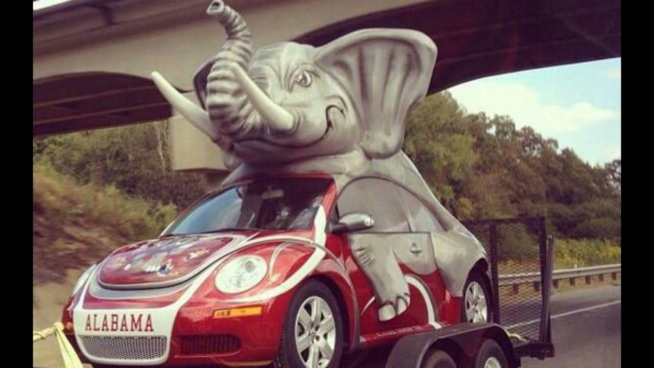 Cursed Car Images With Minecraft Cave Sounds. - YouTube