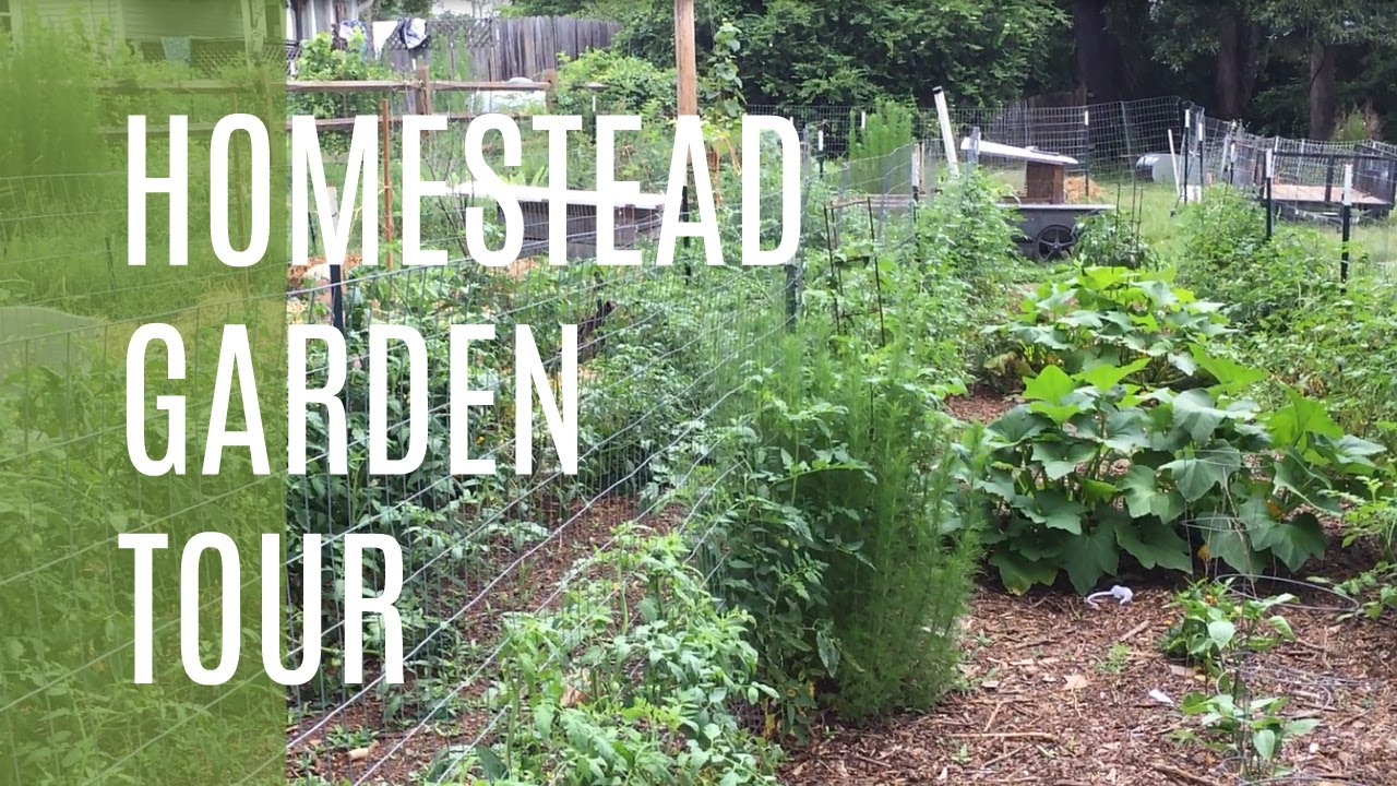 Homestead Garden Tour - YouTube