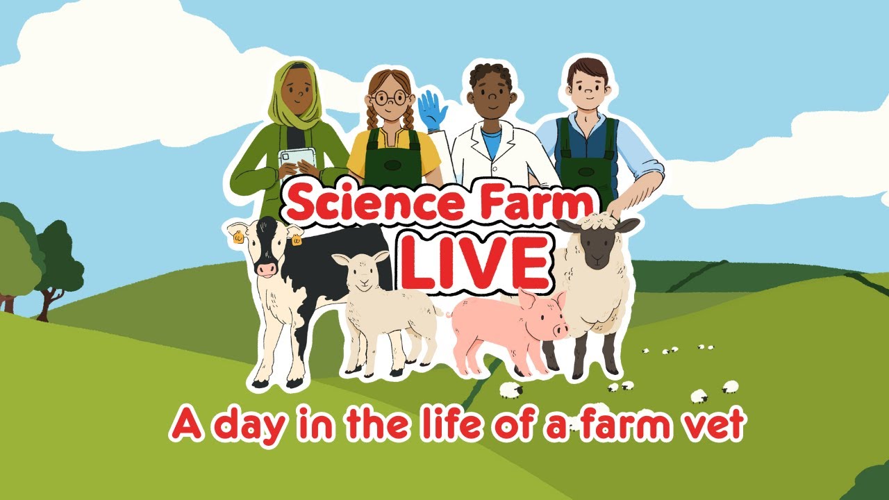 Science Farm LIVE! A day in the life of a farm vet (Lower KS2) - YouTube