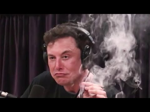 Elon Musk's Kid