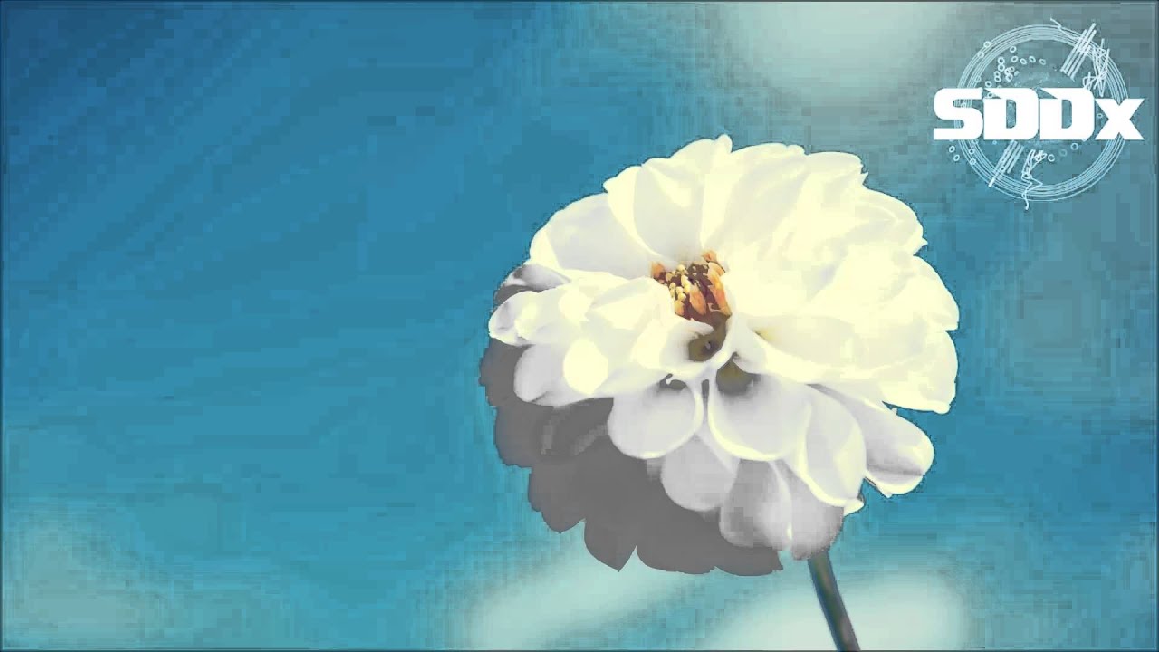 SDDx - Grace EP - YouTube