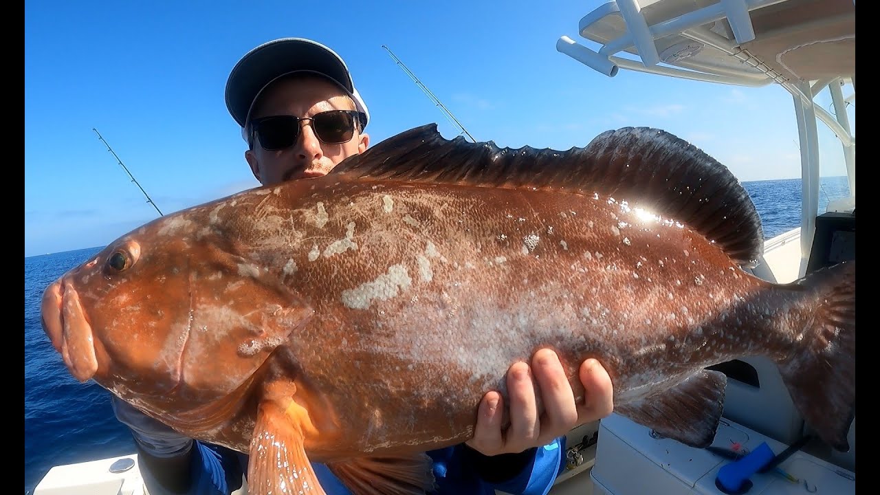 WORLD RECORD Red Grouper On Spinning Tackle Caught Off Marco Island ...