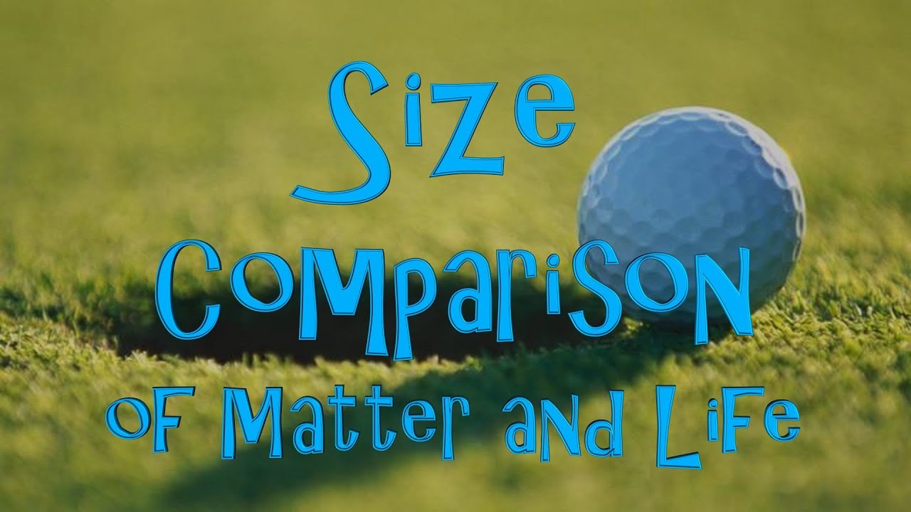 Size Comparison of Matter and Life (part 1 of 2) - YouTube