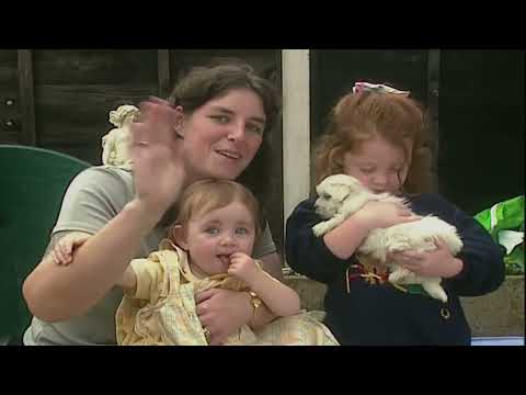 Teletubbies: Interesting Day