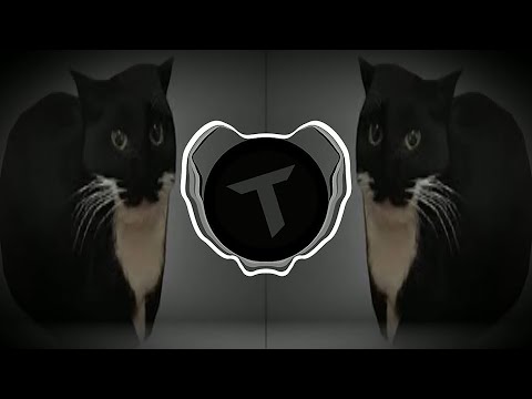MAXWELL THE CAT [PHONK REMIX] | Slowed + Reverb - YouTube