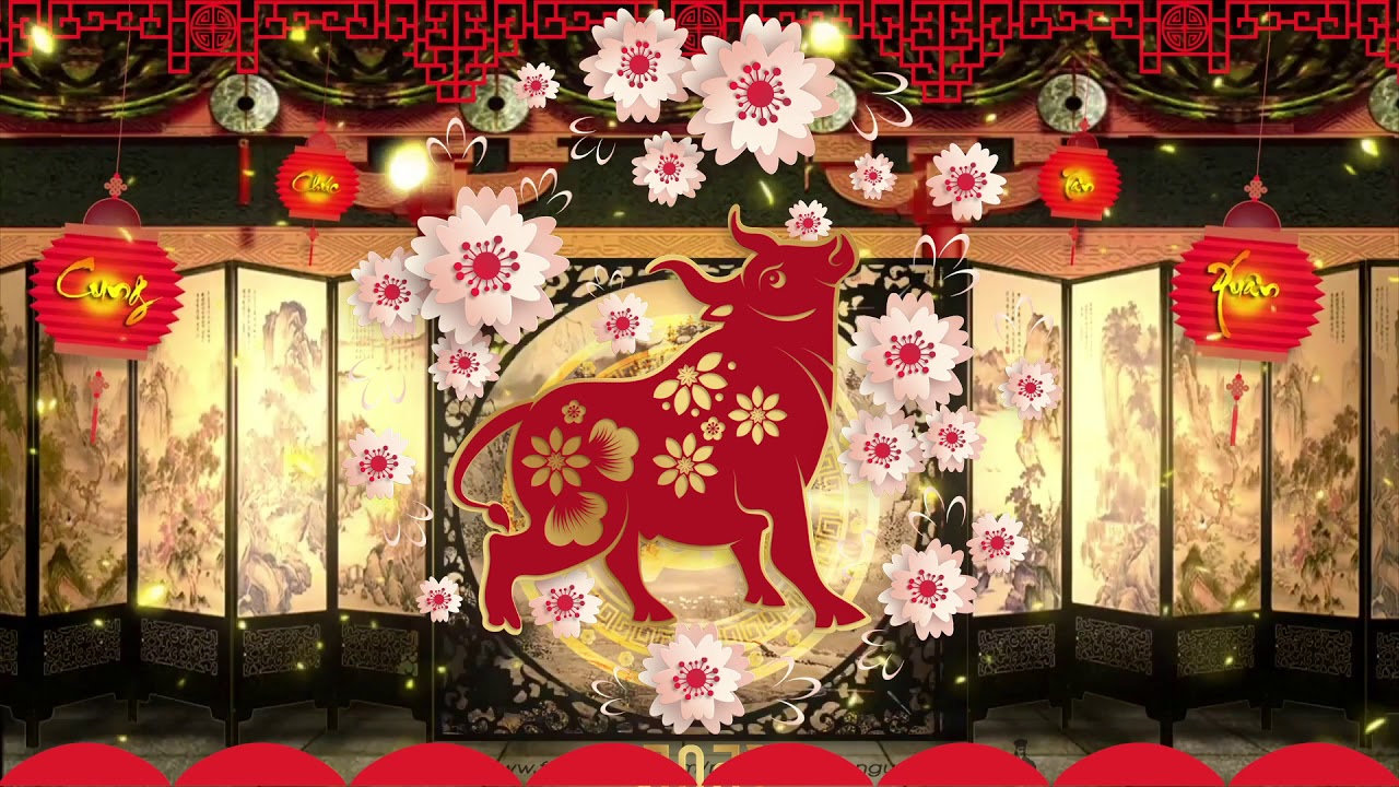 Visual Tet dong day - YouTube