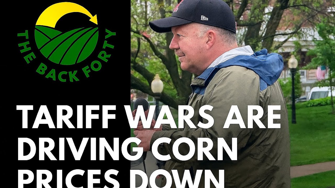 TARIFF WARS ARE DRIVING DOWN CORN PRICES! - YouTube