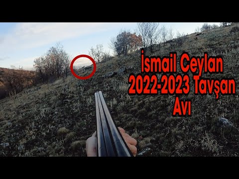 KOPAYLA TAVŞAN AVI 2022-2023 - rabbit hunting - охота на кролика - صيد الأرانب - κυνήγι κουνελιού