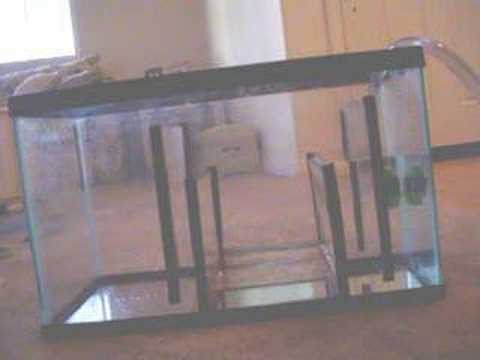MY REEF SUMP DIY FOR SALT WATER / SALTWATER FISH TANKS NO GLUE OR ...