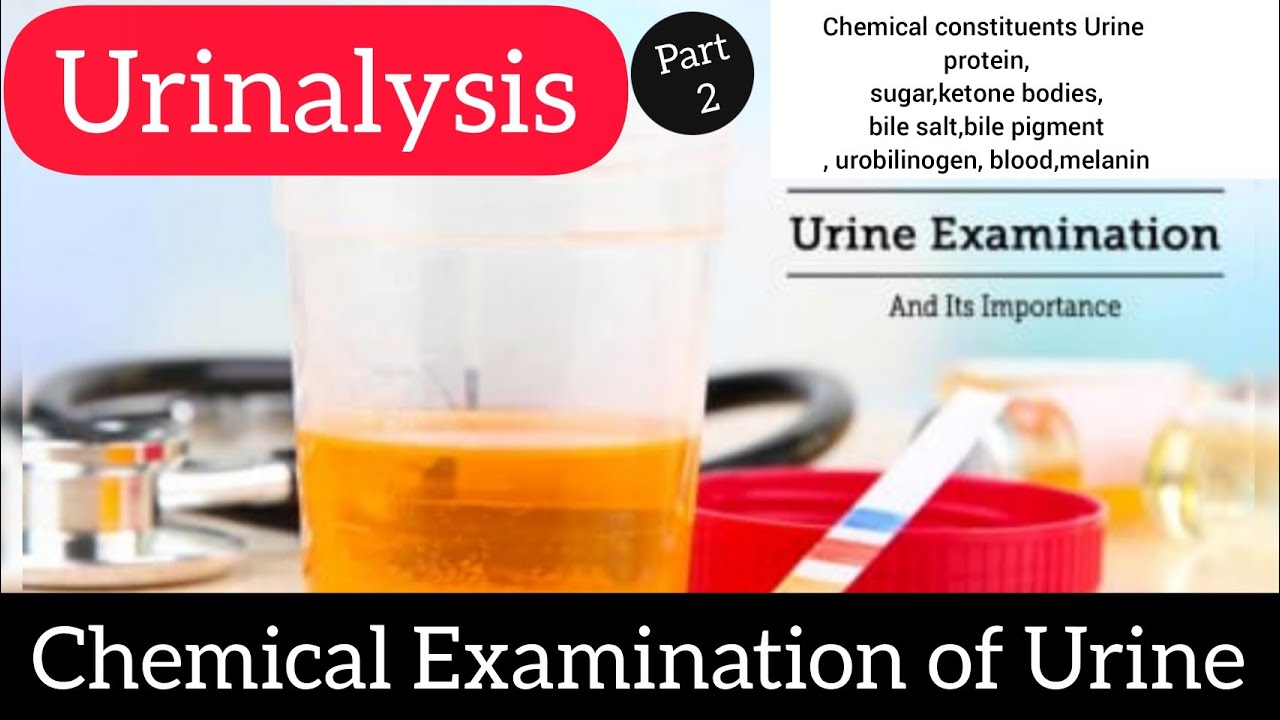 Urine Chemical Examination , Urinalysis Part -2 - YouTube