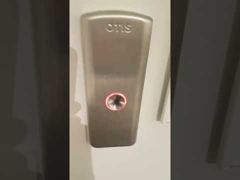 2010 otis REM in h&m, geneva, switzerland🇨🇭 - YouTube