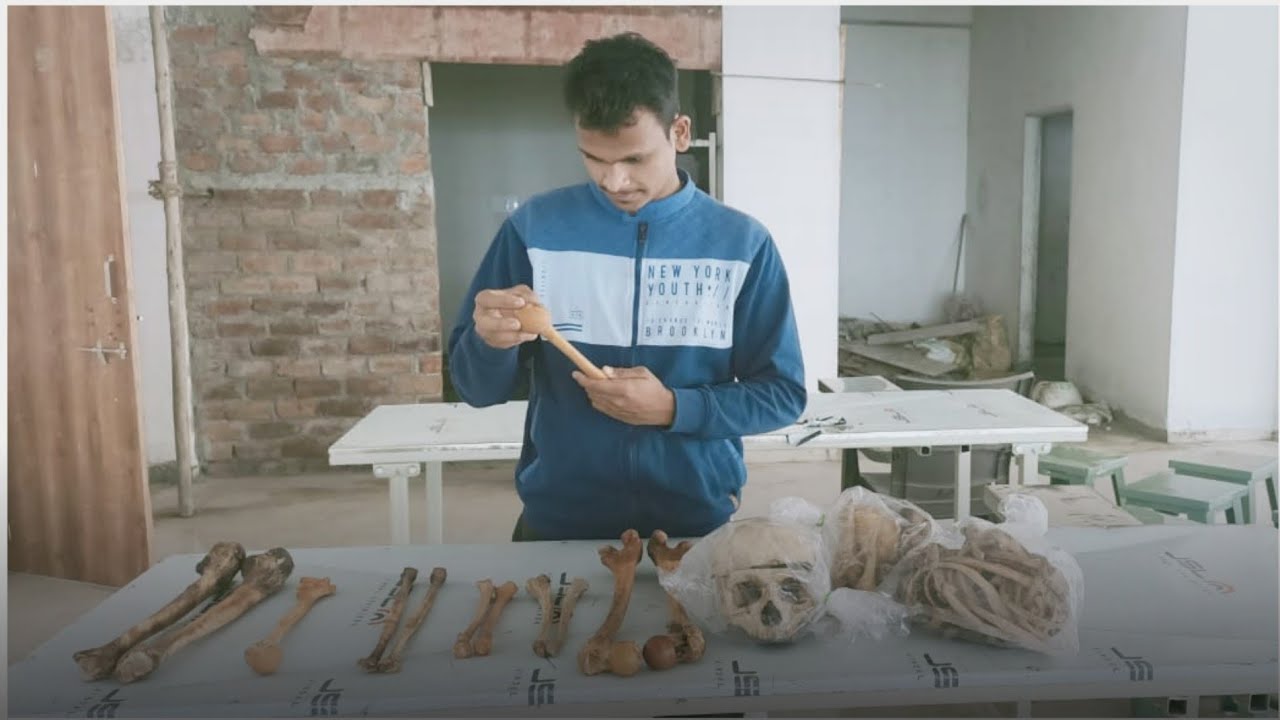Human body original bone set - YouTube