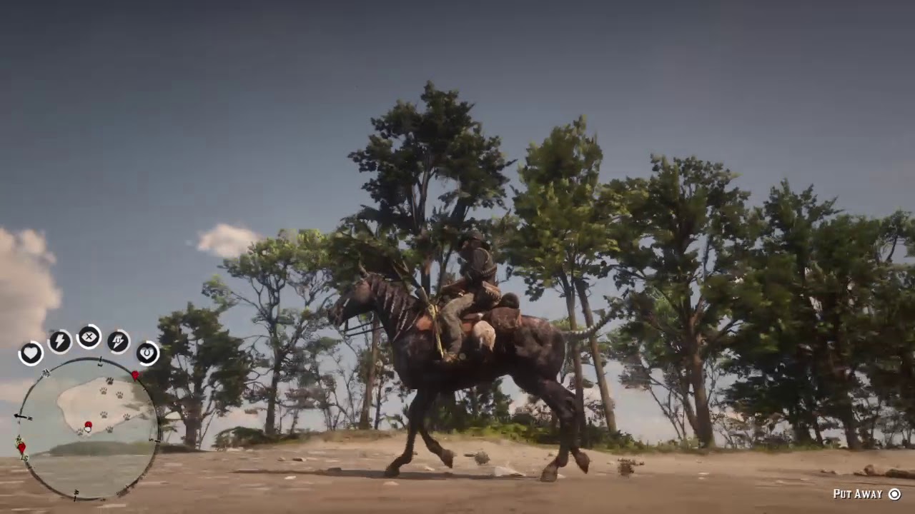 RDR2 Robin location - YouTube