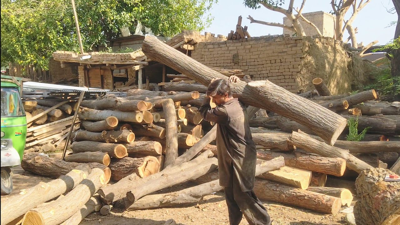 Toughest Work Loading Wood for Cutting | Wood Cutting | Woodworking ...