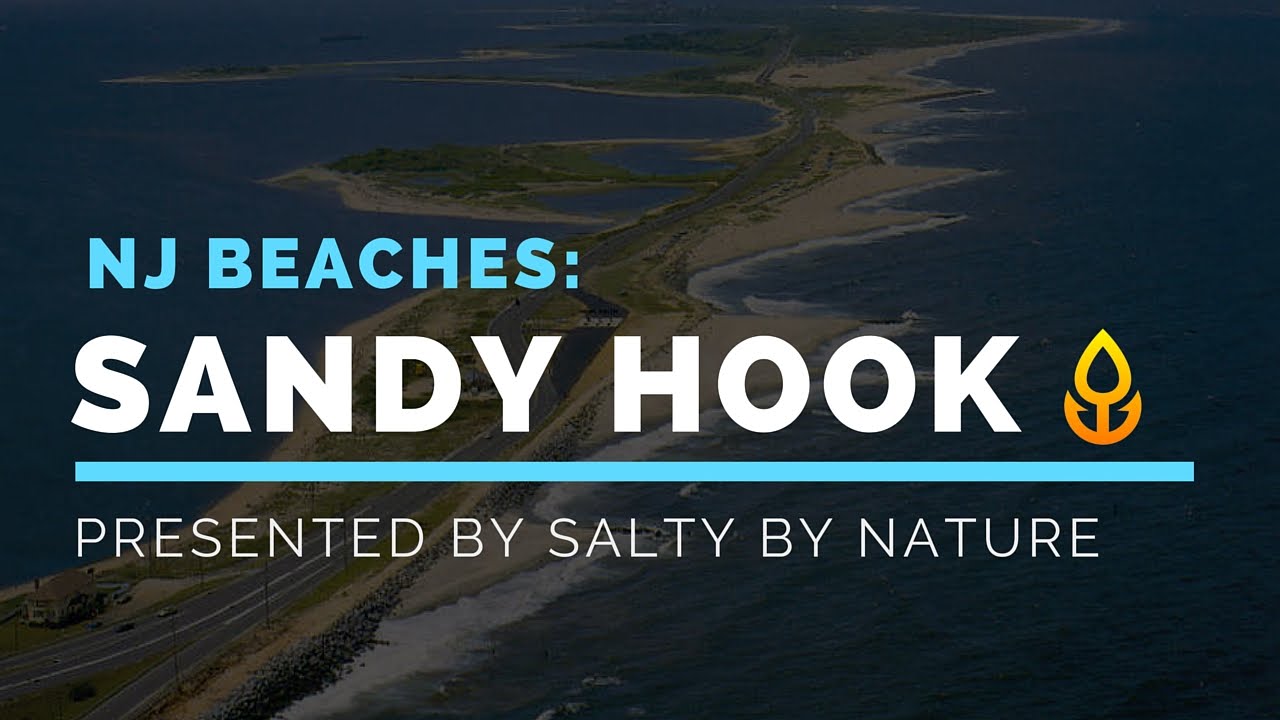 Sandy Hook Beach NJ - Gateway National Park - YouTube
