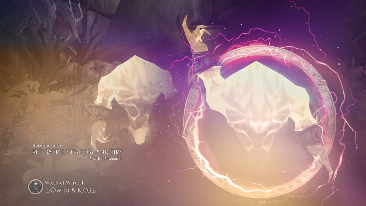 Scorch in Revendreth (Pet Battle Strategy and Tips) - YouTube