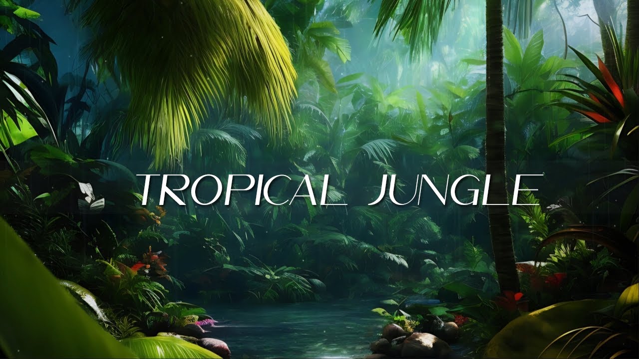 Best Tropical Jungle Sounds: Soothing Ambience of Nature Sounds for ...