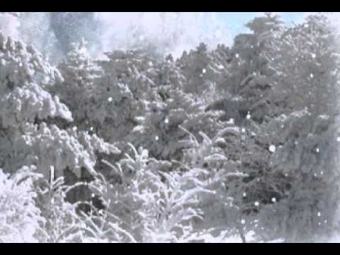 Tombe  La  Neige   Paul Mauriat