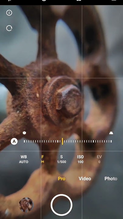 Smartphone macro photography #photography #shorts - YouTube