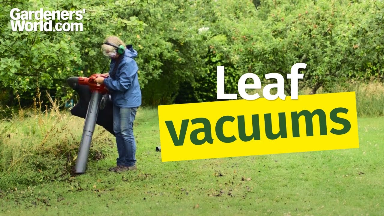 A buyer's guide to leaf blower/vacuums - YouTube