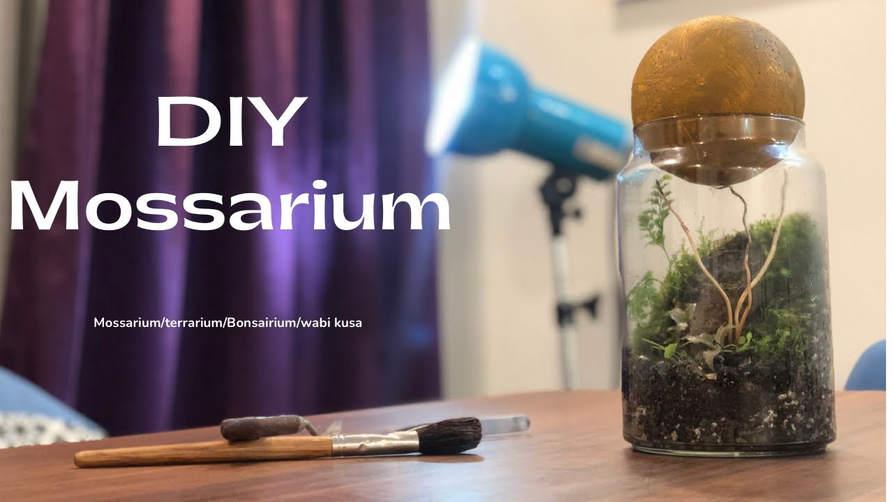 How to make a simple mossarium in 5 minutes-diy - YouTube