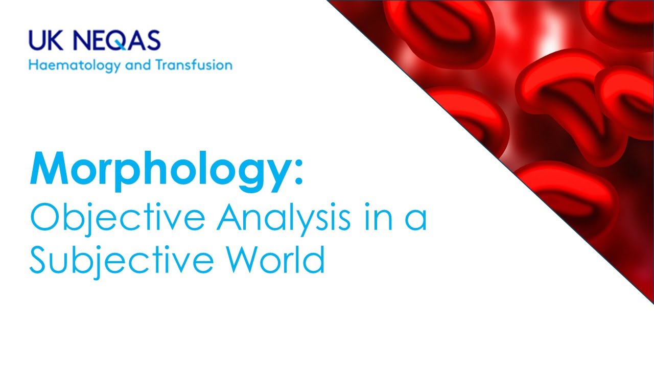 Morphology: Objective Analysis in a Subjective World - YouTube