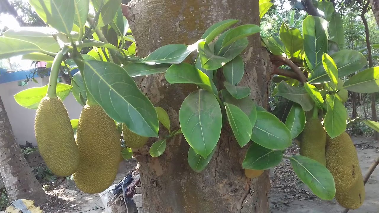 Deep sarkar 07557 @gmail.com - YouTube