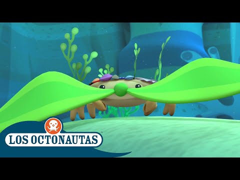 Los Octonautas - El escurridizo cangrejo decorador | Episodios Completos