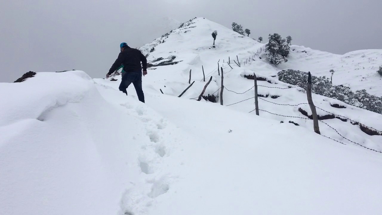 Tracking in snow at Haripurdhar Himachal Pradesh - YouTube