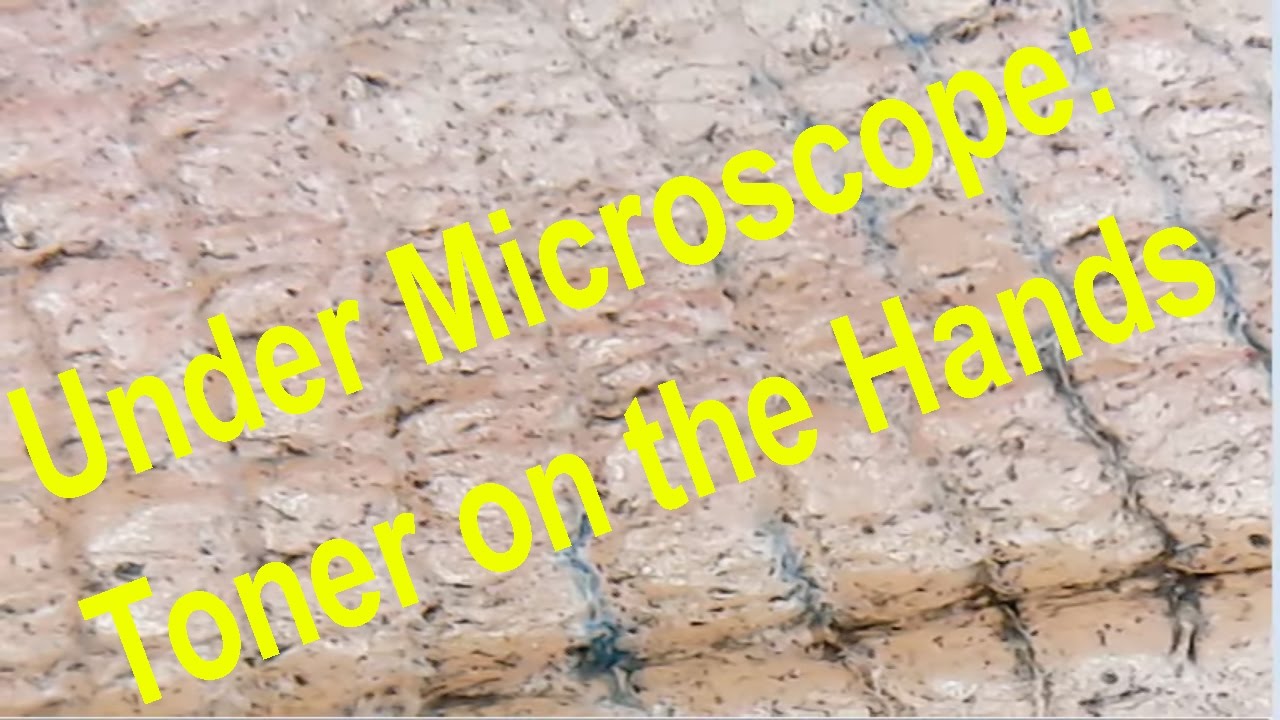 human skin under microscope 1000x Toner on the Hands - YouTube