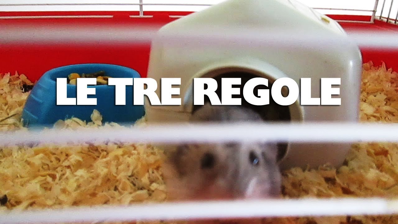 LE TRE REGOLE | #Vlog - YouTube