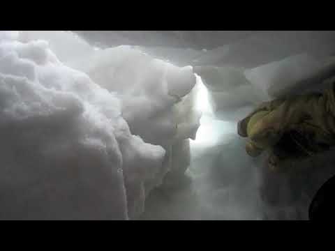Tigger The Avalanche Dog Saving Me - YouTube