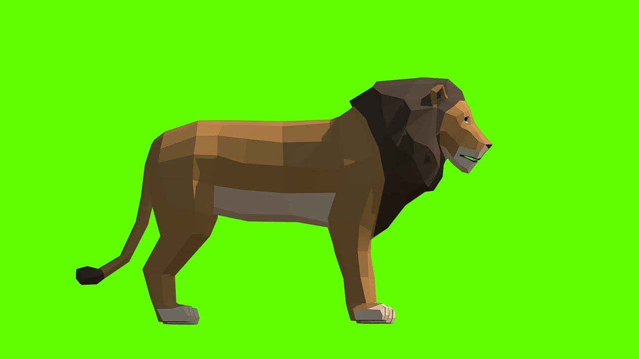 Lion Standing idle on green screen #nocopyright #greenscreen # ...