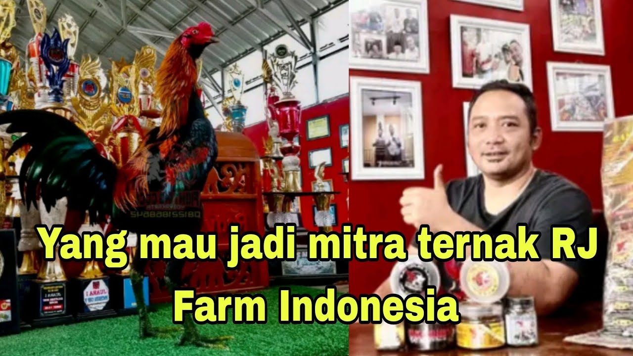 Yang mau jadi mitra RJ Farm Indonesia - YouTube