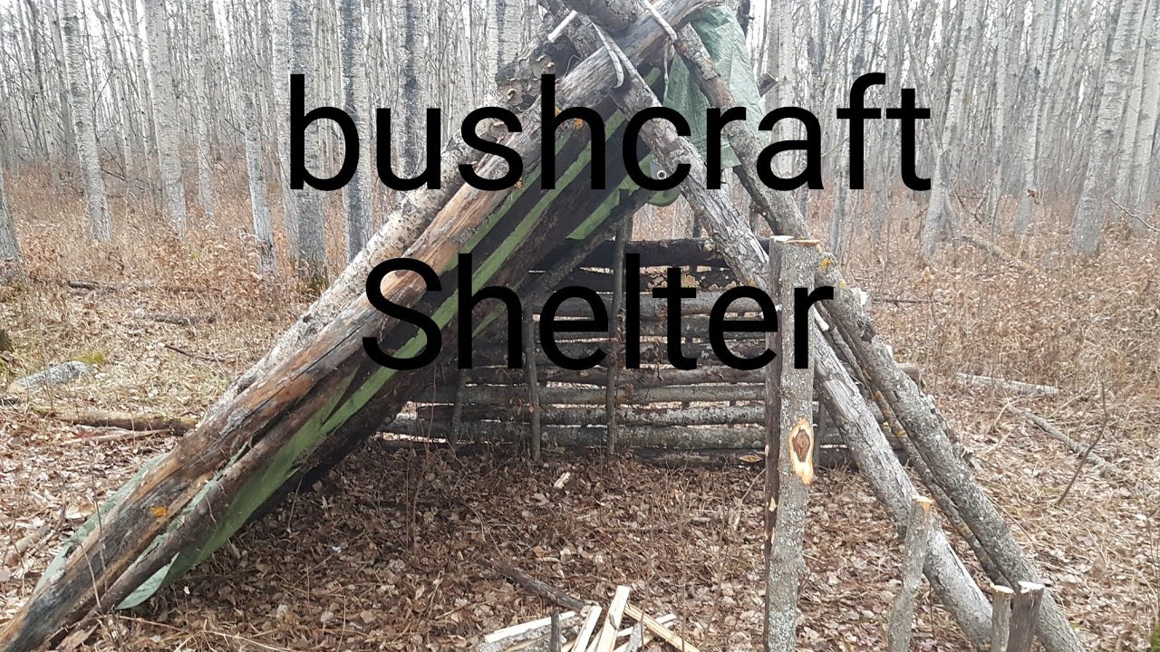 Building a permanent bushcraft shelter - YouTube