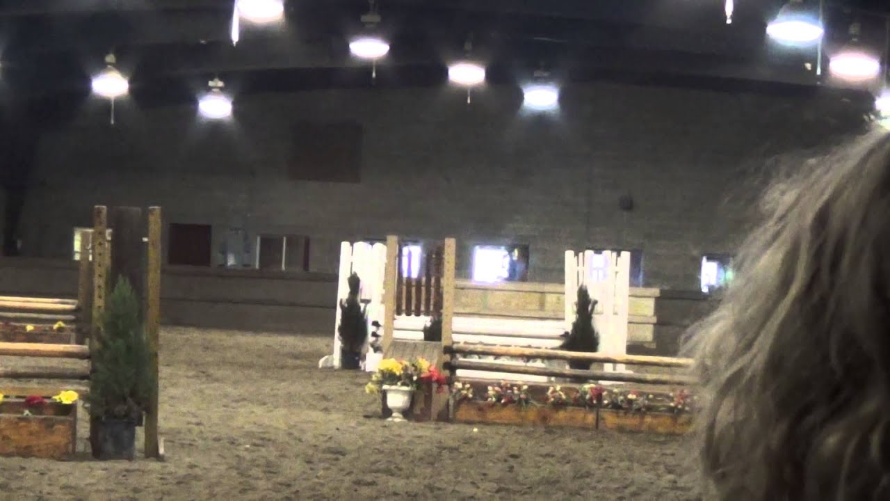 Sam and Stitch 1st Trip 3-9-14 - YouTube