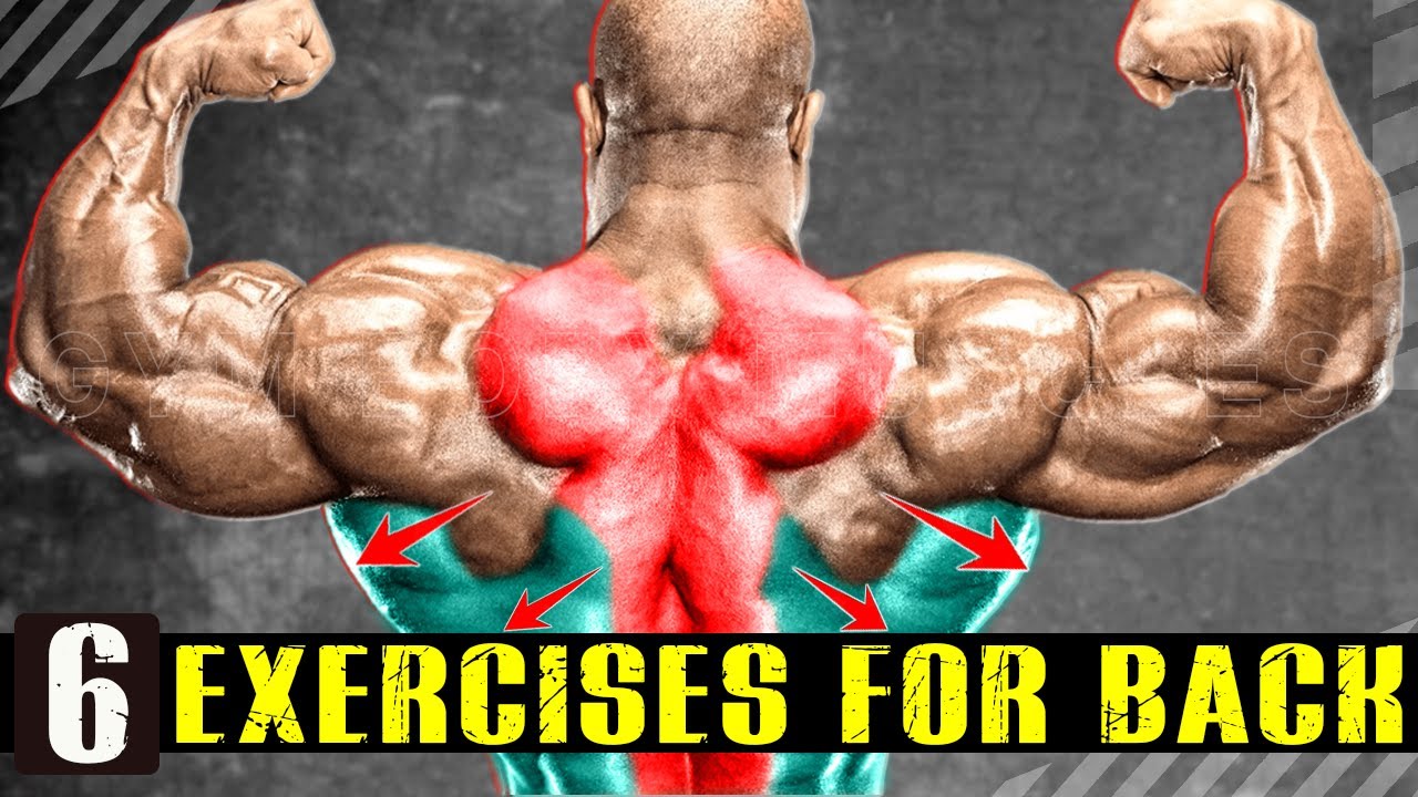 6 Exercises for Bigger Back | Wide Back Workout - Gym Body Muscles ...