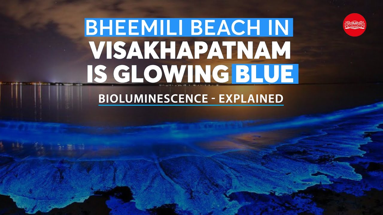 Bheemili Beach in Visakhapatnam is glowing blue; Bioluminescence ...