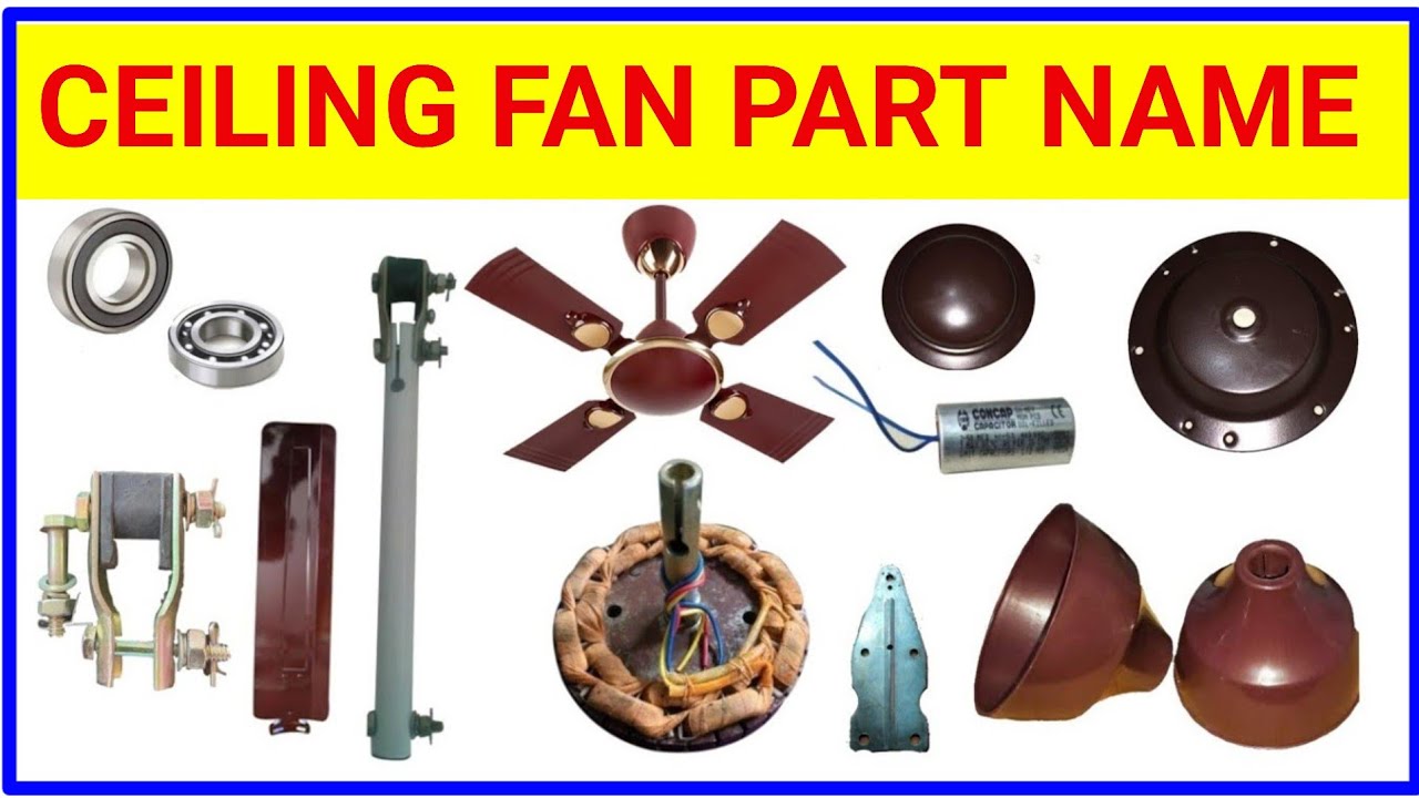 Parts Of Ceiling Fan Assembly - Infoupdate.org