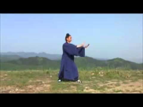 Wudang Tai Chi Kung Fu Zhang San-feng Tai Chi Chuan 13 Form. - YouTube