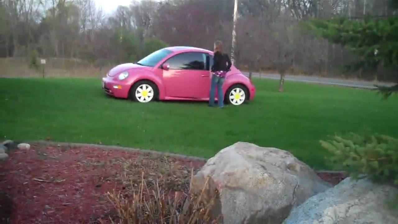 Pink Beetle Present - YouTube