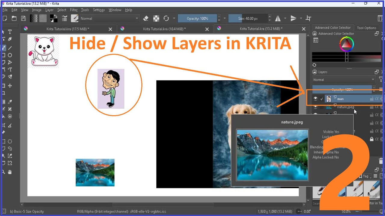 To Hide/Show Layers in Krita | Topic 2 - YouTube